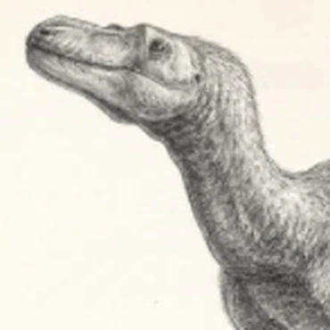 Daily Dose of Dino Fights - 24 | Fandom