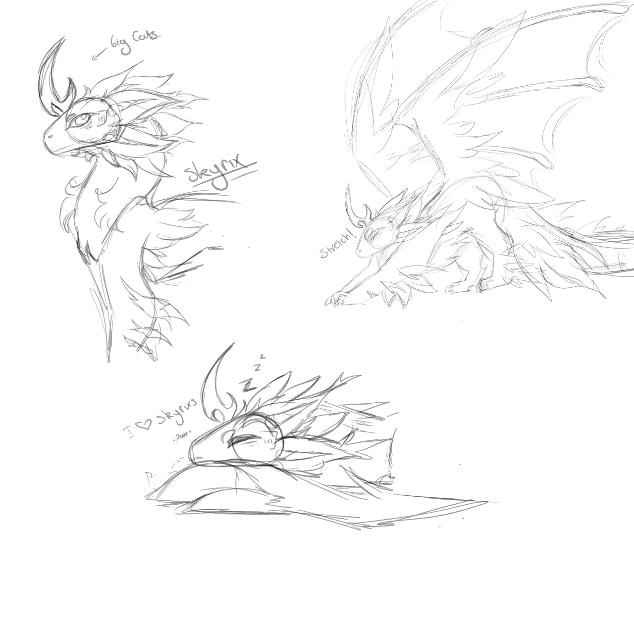 Skyrix Doodles! | Fandom