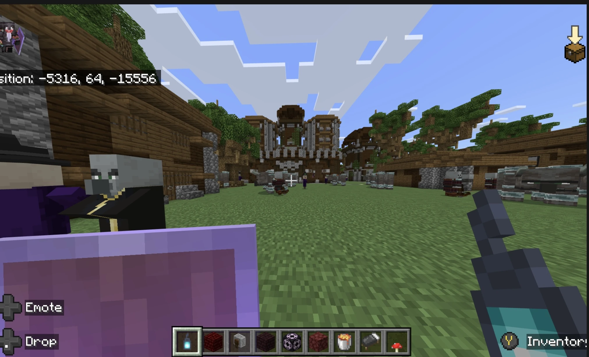 Pillager Town (micro) | Fandom