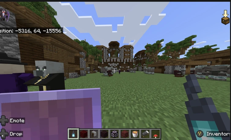 Pillager Town (micro) | Fandom