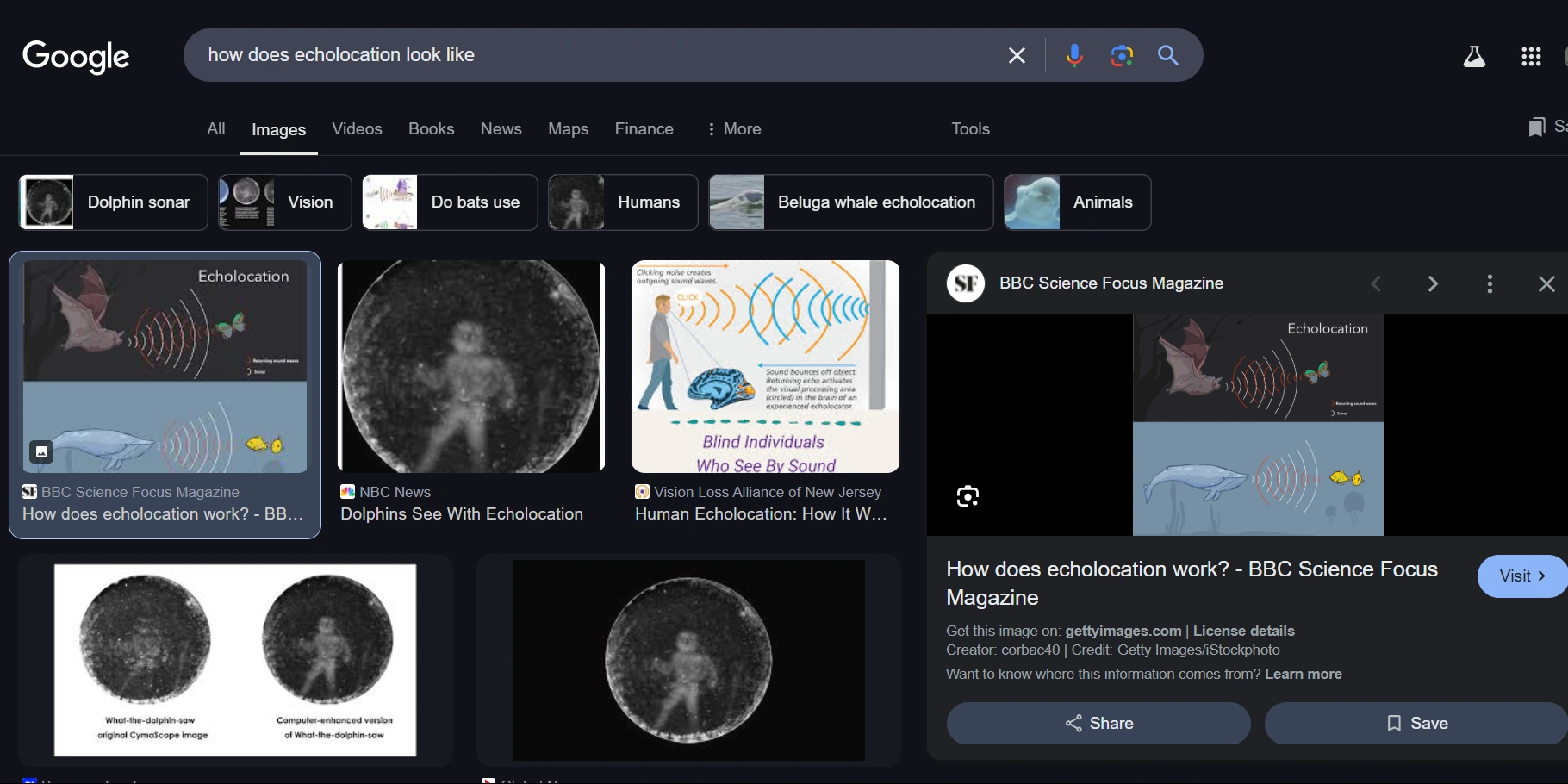 bro.:sob: :skull: | Fandom