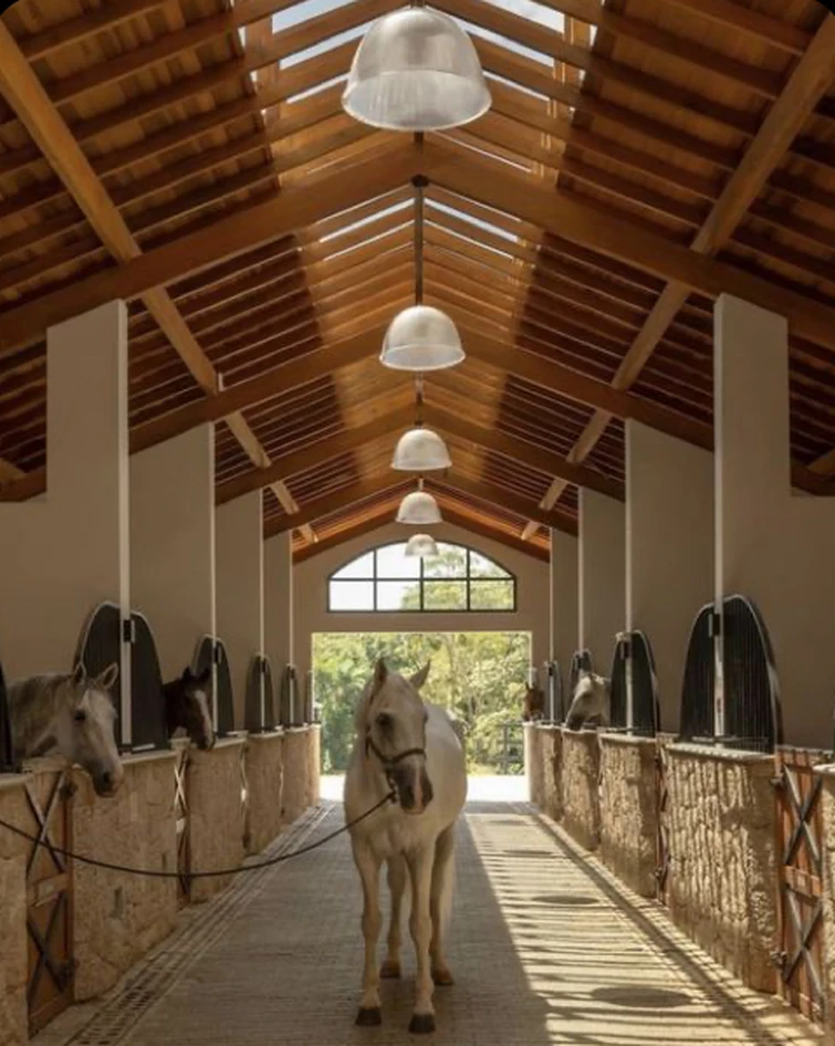 Discuss Everything About Harry Potter Wiki | Fandom