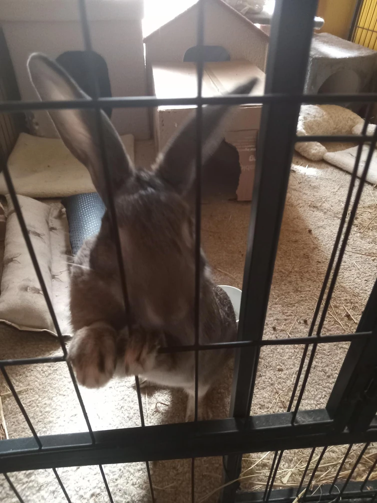 Discuss Everything About Undertale Wiki | Fandom