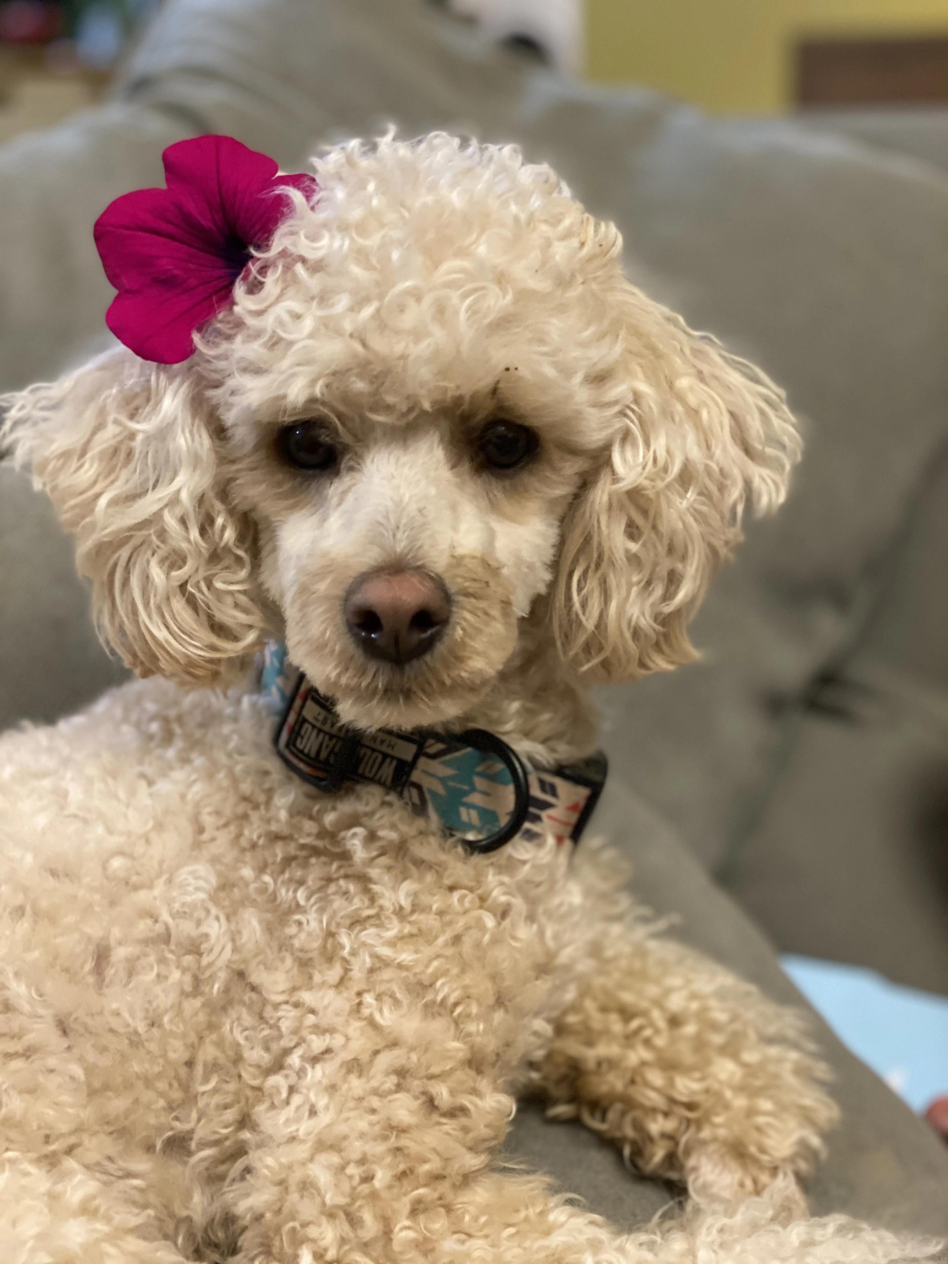 The DEFINITION of manly | Fandom