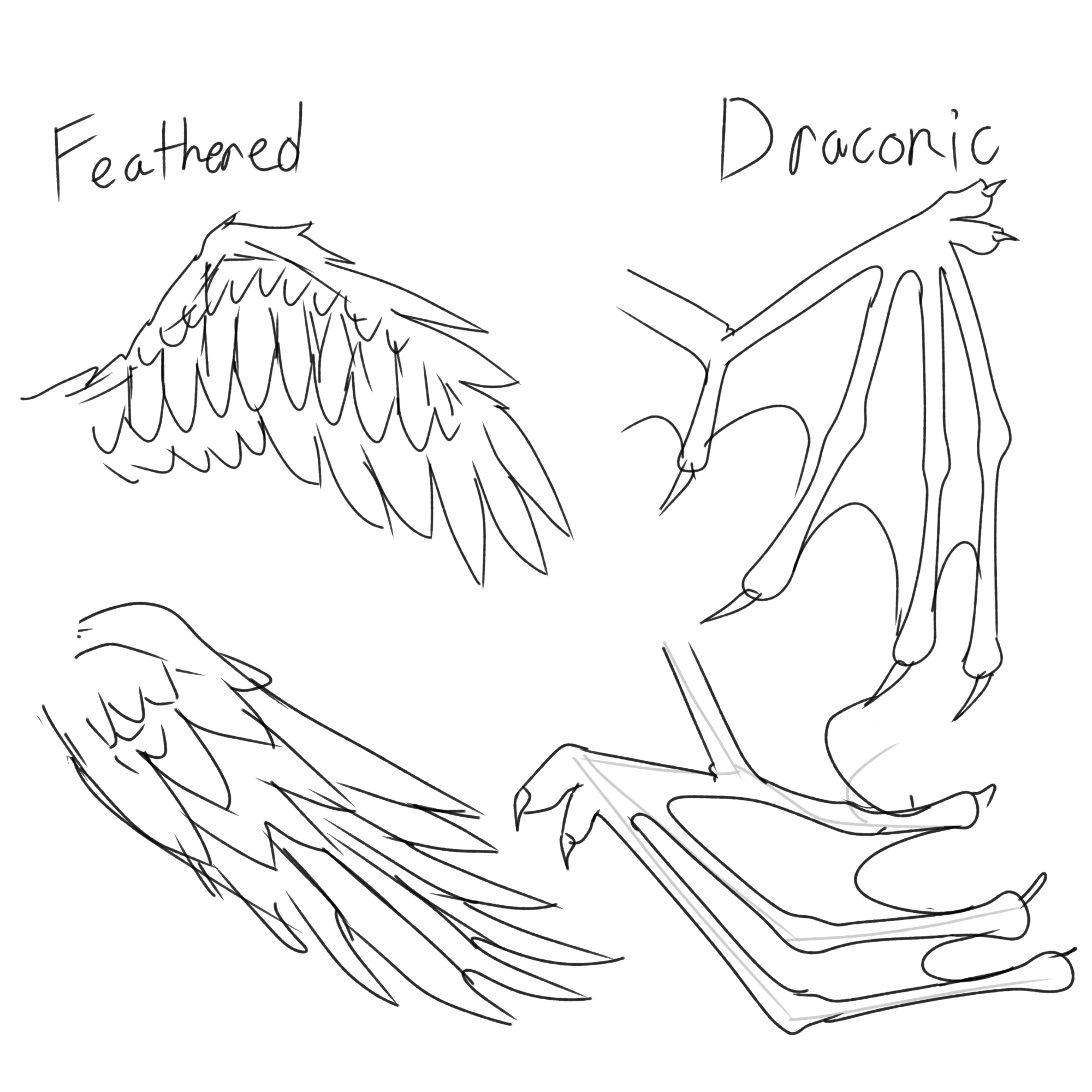 How To Draw Wings