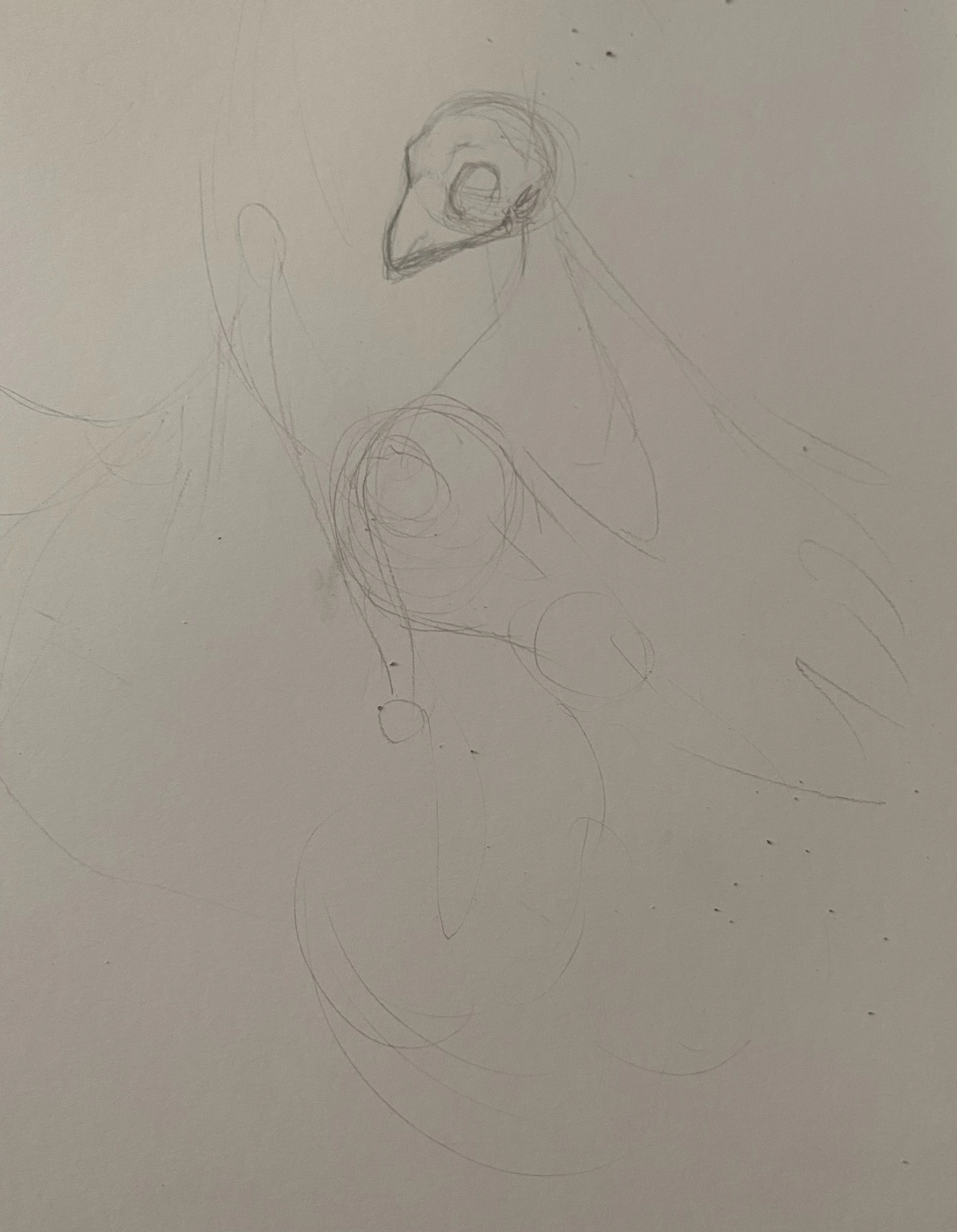 Traditional Pero art wip | Fandom