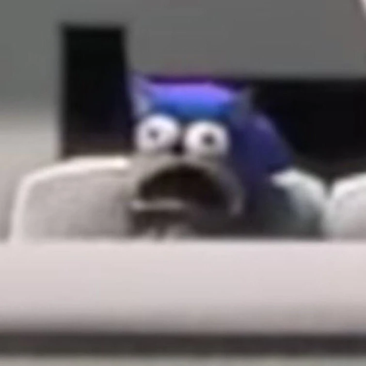 Amy Rose Blueberry Inflation