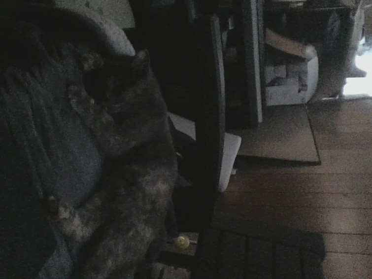 quotation hard edition (soz mods) | Fandom