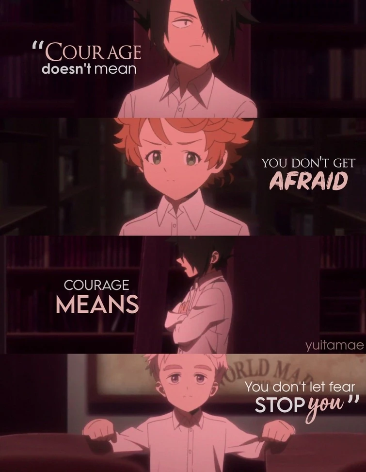 tpn | Fandom