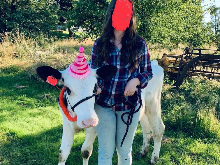 4-H (plus my cow) | Fandom