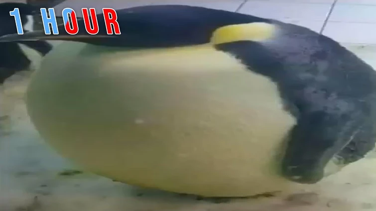 woah wiki is mega active at 2 am | Fandom