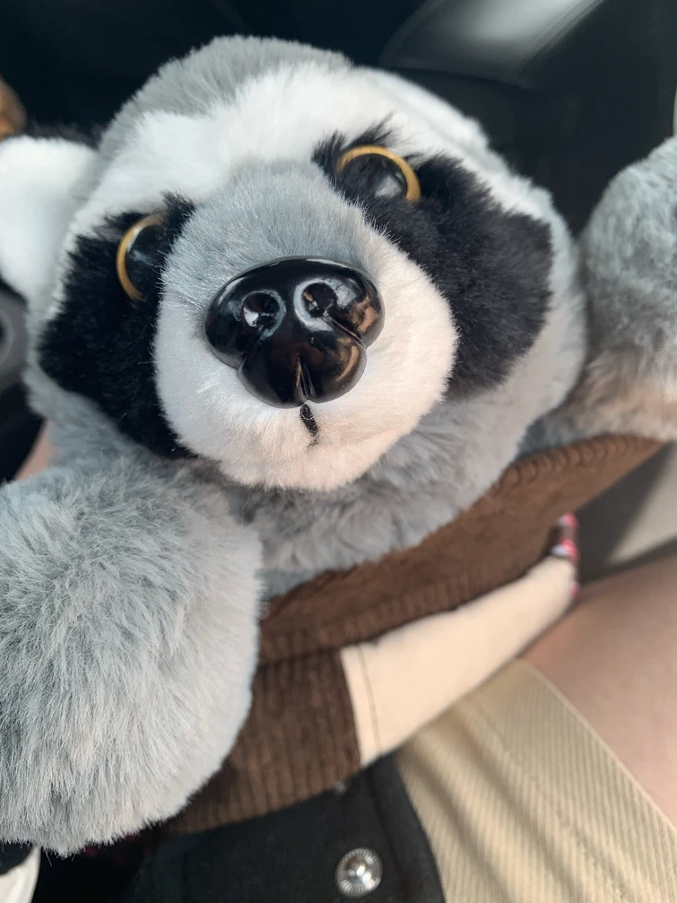 Discuss Everything About Bungo Stray Dogs Wiki | Fandom