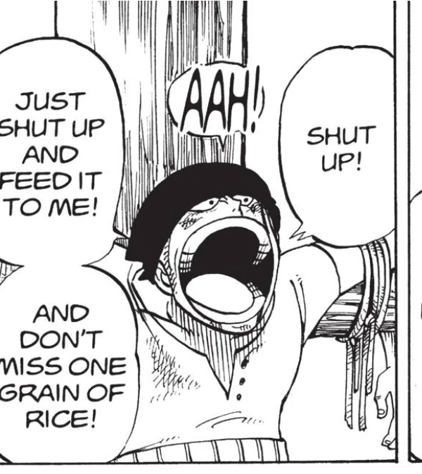 Roronoa Zoro manga panel jumpscare | Fandom