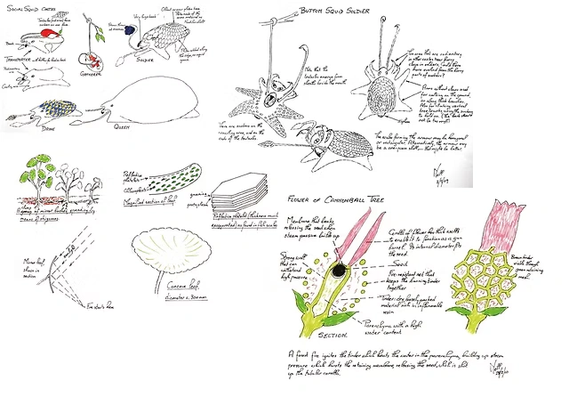 Some possible 2009 designs | Fandom