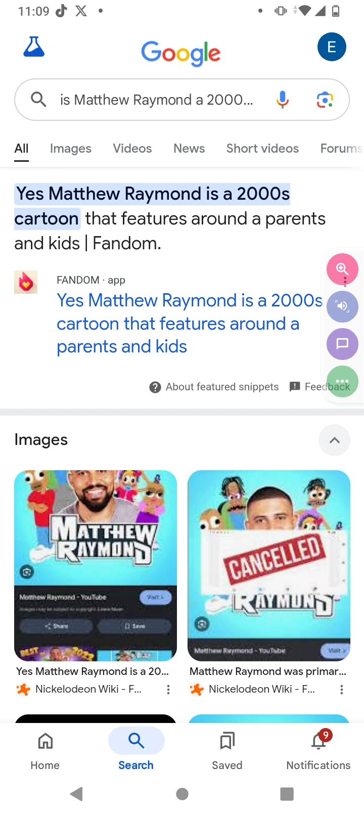 Yes Matthew Raymond was produced by atomic cartoons which was a company ...