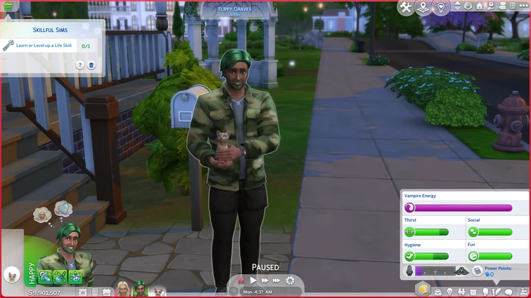 sims 4 flippy holds a mixed sphynx breed kitten | Fandom