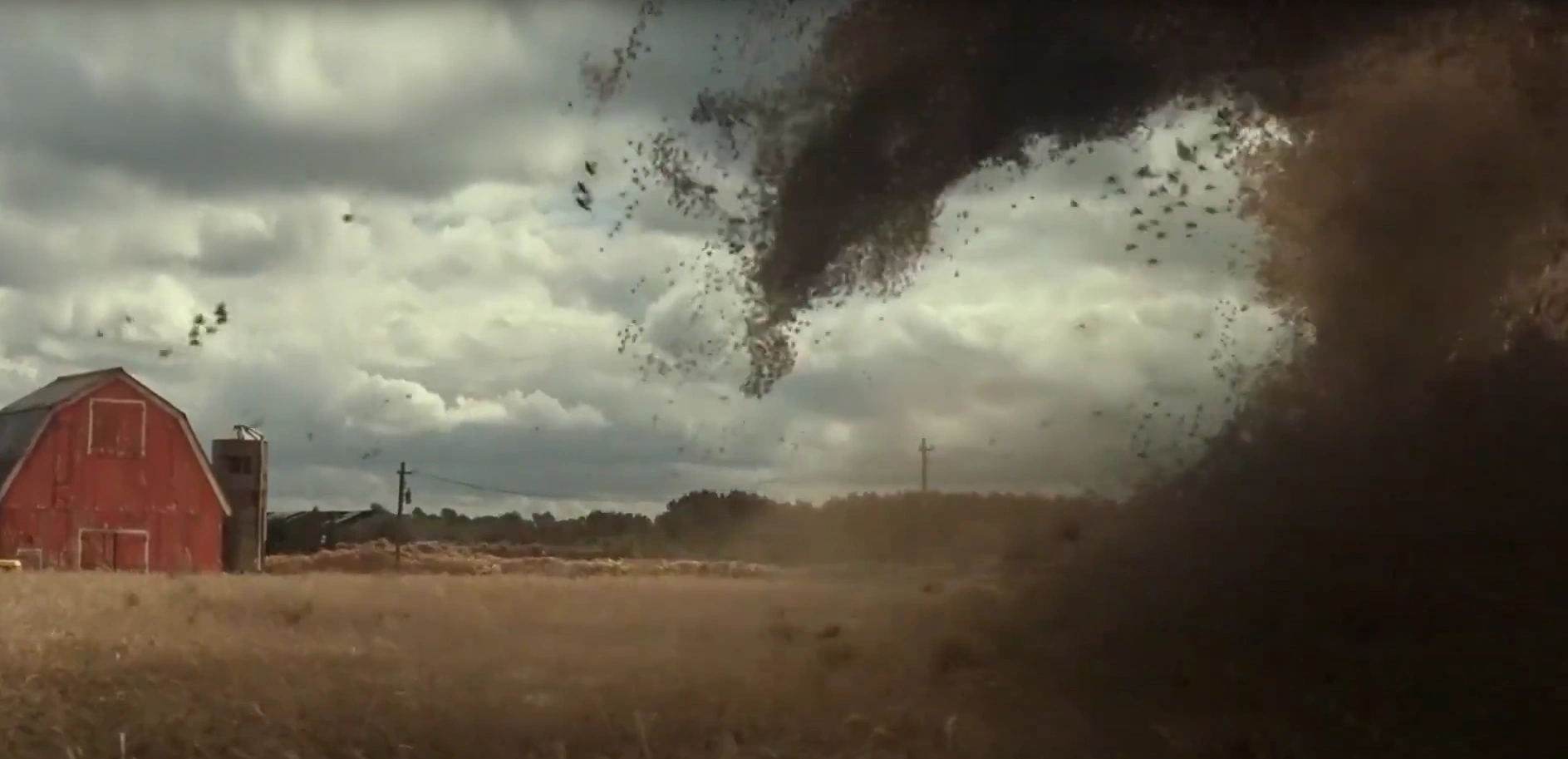 Its locust'n time | Fandom