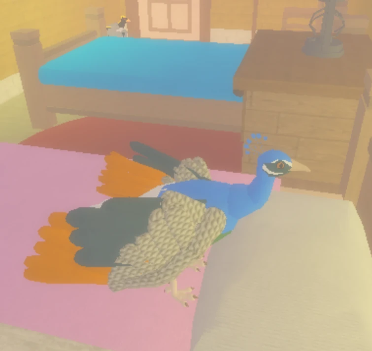 Discuss Everything About Feather Family Wiki | Fandom