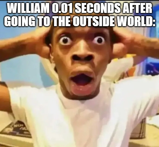 Seriously living under a rock. Meme I made | Fandom