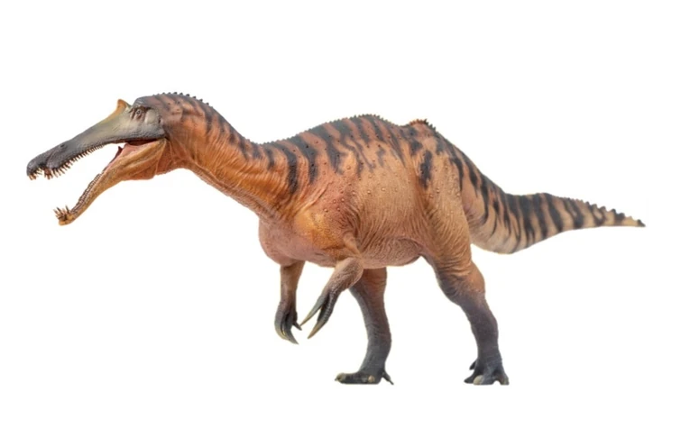 how accurate is it? | Fandom