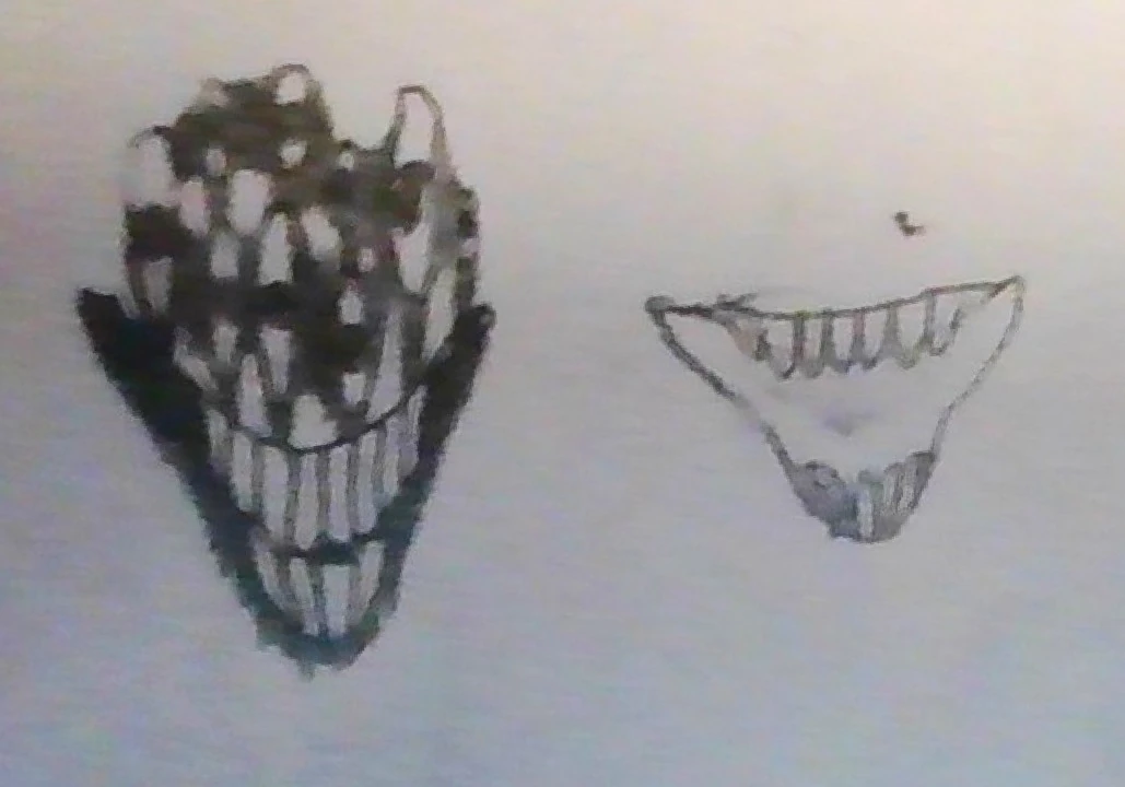 Sketch leak | Fandom