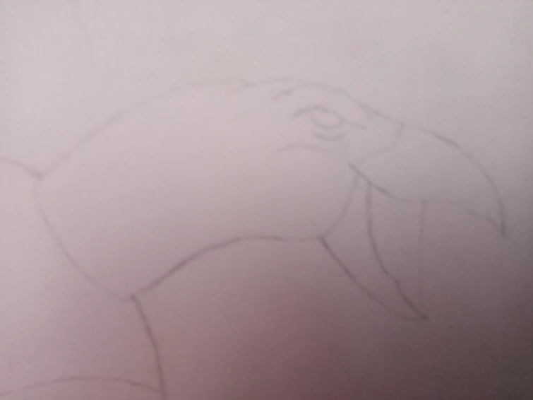 Gojira: Kingdom Ookondoru The Giant Condor. (W.I.P) | Fandom