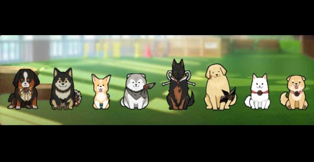 Interacting with the dogs | Fandom