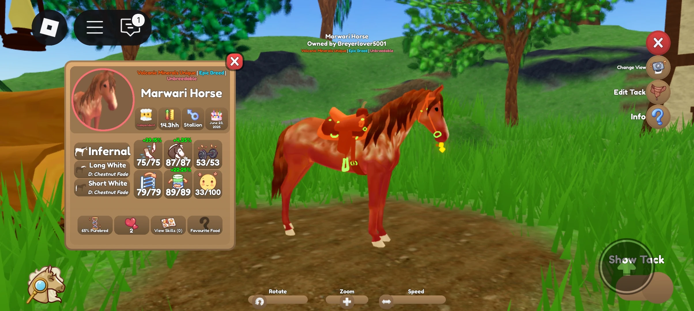 Auctioning! | Fandom