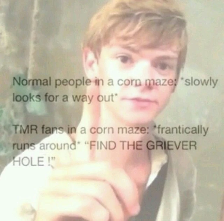 Maze runner memes | Fandom