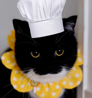 omg new PFP | Fandom