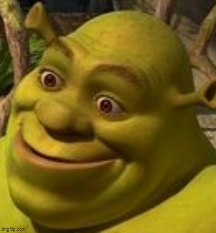 I accidentally summoned Shrek | Fandom