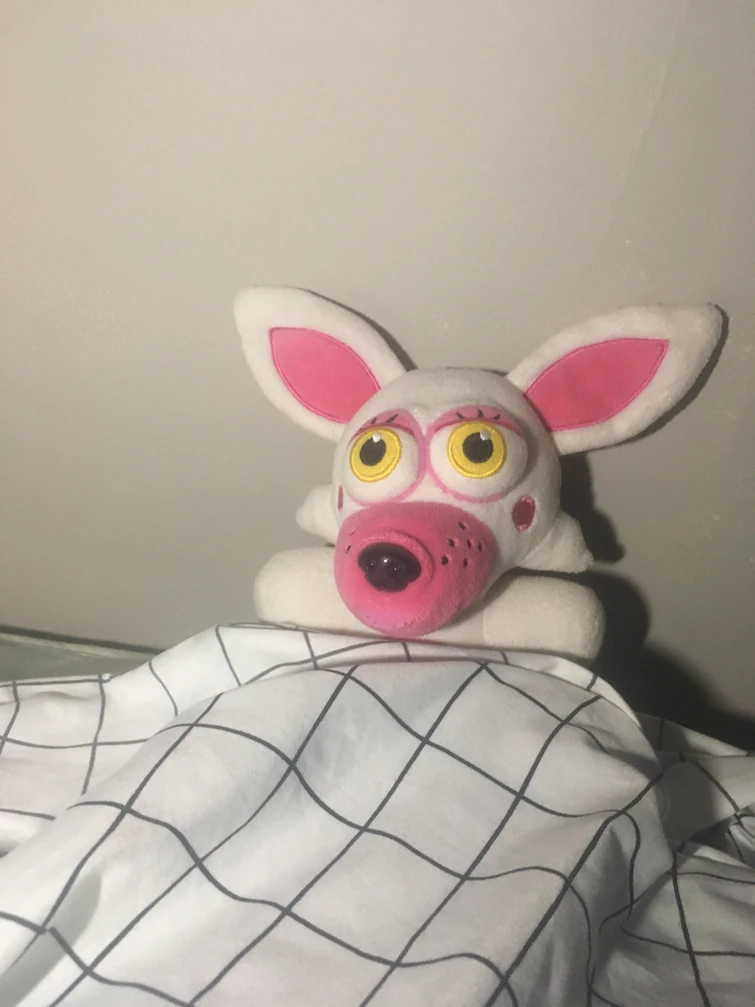 Funtime Foxy Says Goodnight! | Fandom