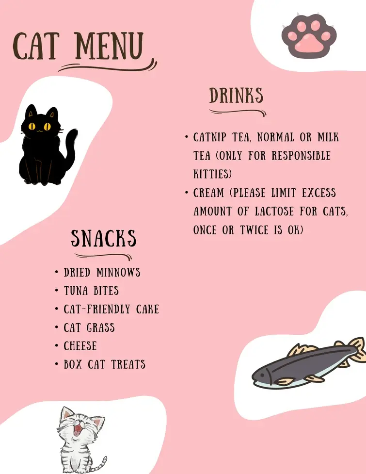 cat cafe wooo!!! | Fandom