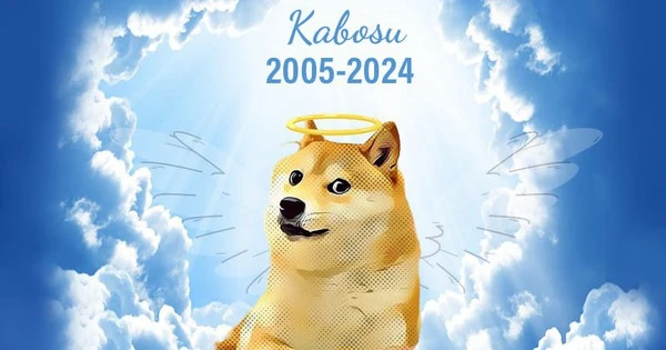 Guy! U need to tell development that,doge is dead from cancer and ...