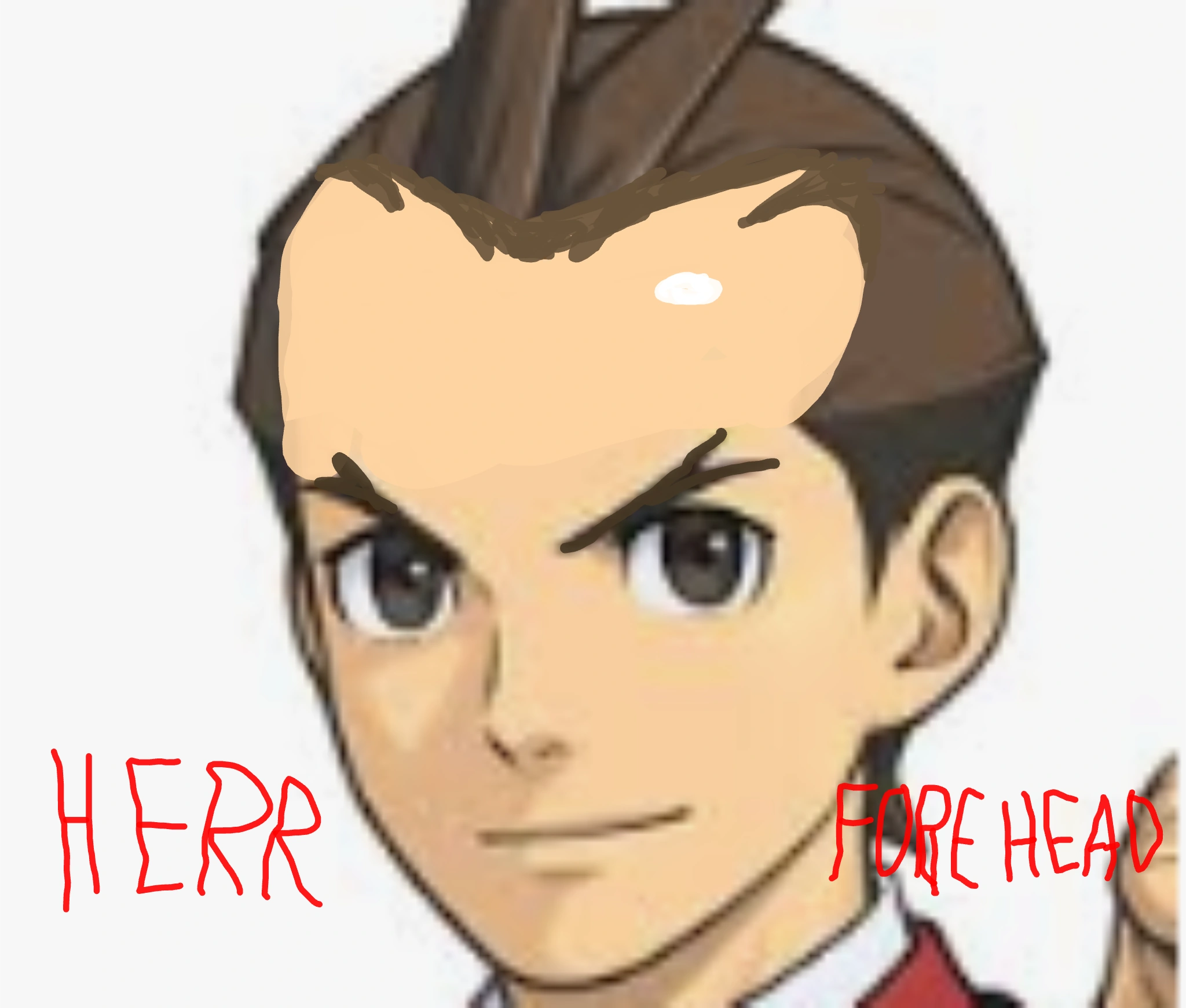 HERR FOREHEAD!!! | Fandom