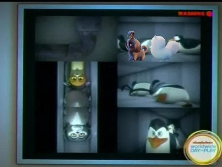 Gidget, Daisy, Chloe, Snowball And Jenny In... Pets Peeved. | Fandom