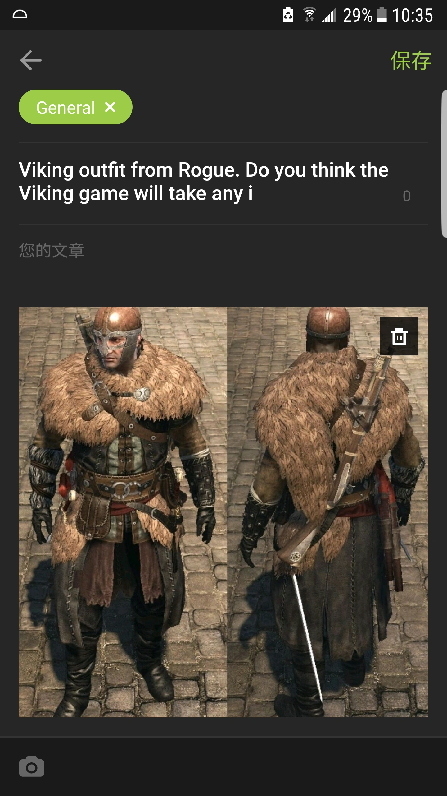 Viking outfit from Rogue. Do you think the Viking game will take any ...