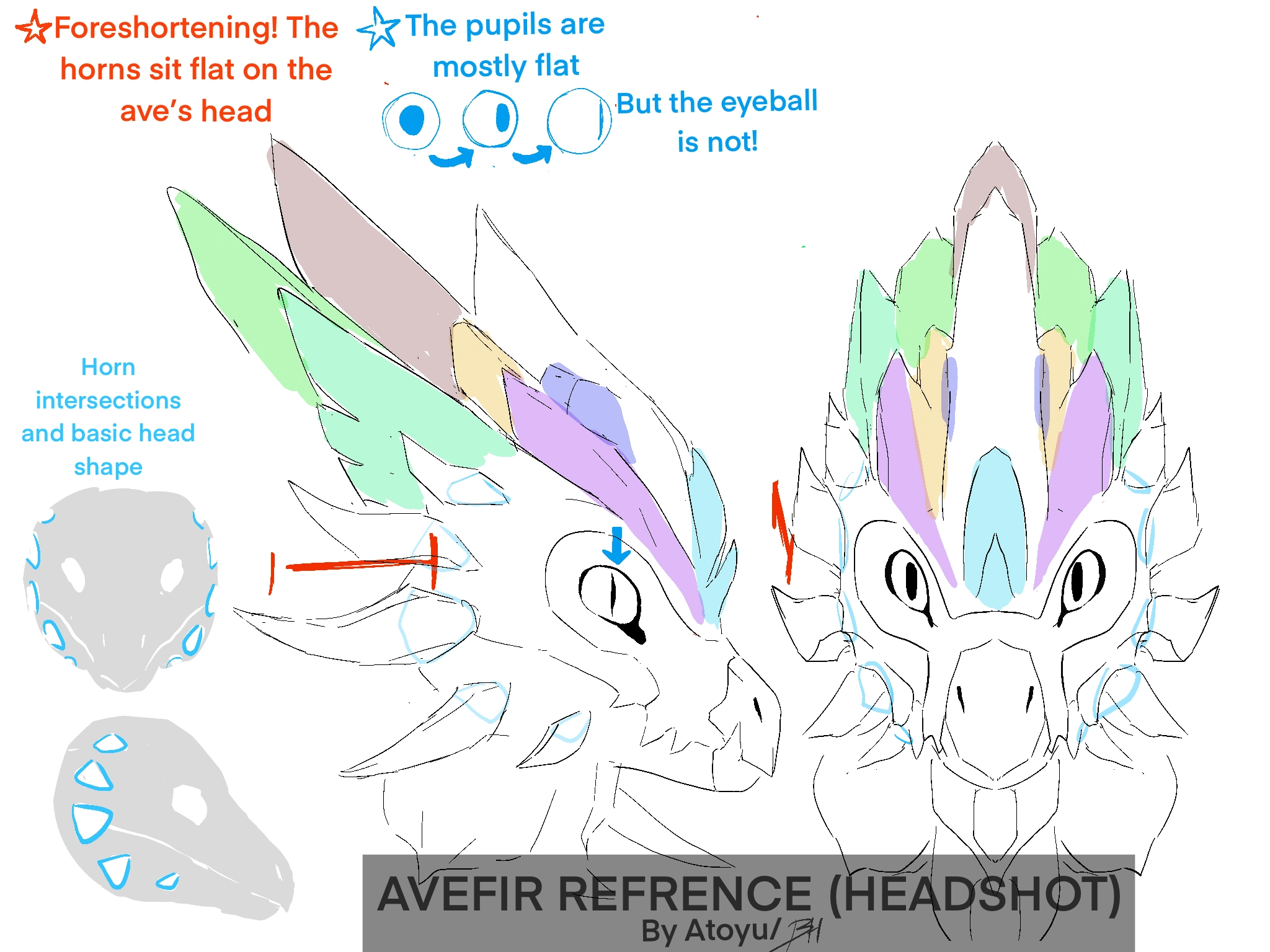 Avefir diagram/reference headshot | Fandom