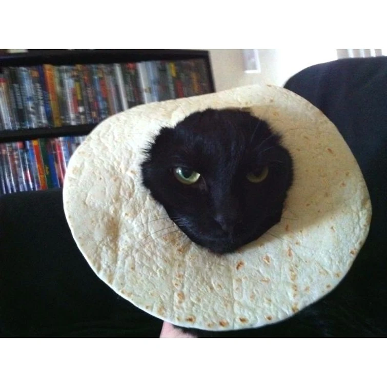 Tortilla | Fandom