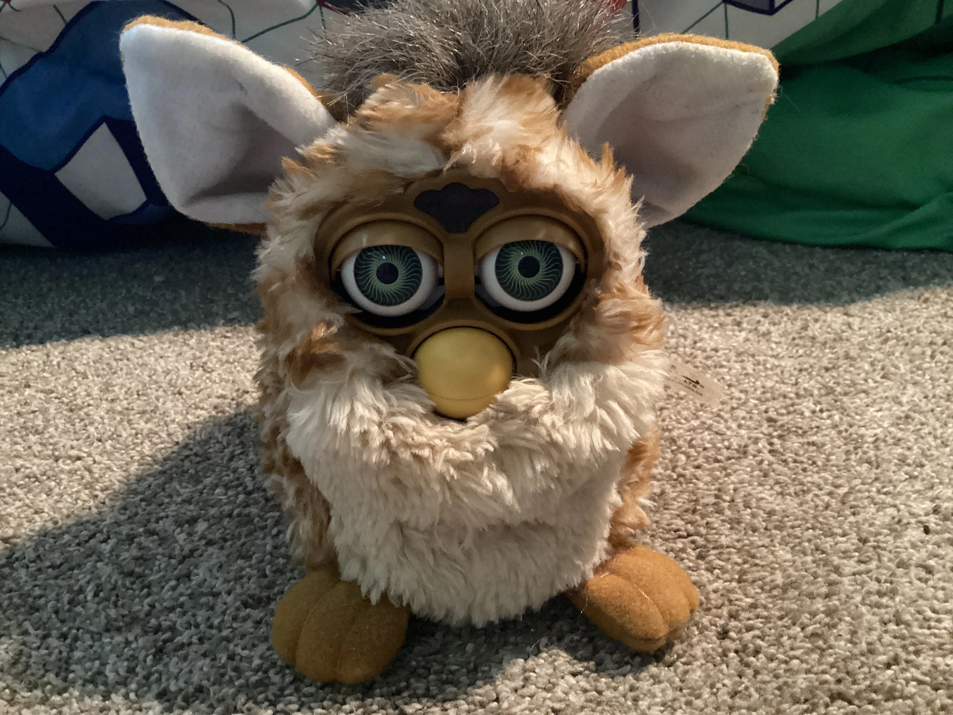 Does anyone else’s furb have mouse ear syndrome? | Fandom