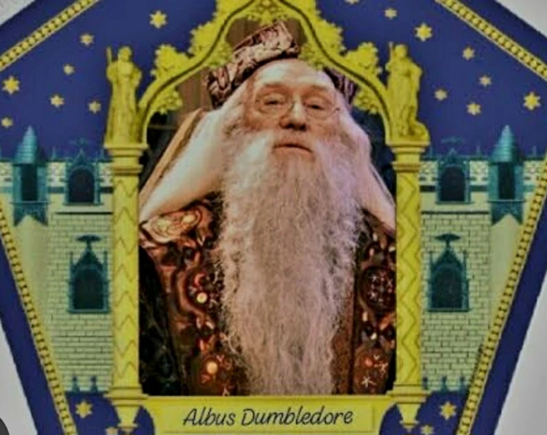 Dumbledore and Chocolate Frog Cards | Fandom