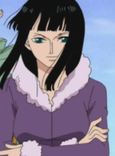 favorite robin outfit pre timeskip | Fandom