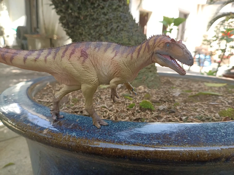 My new PNSO dinosaur factions | Fandom