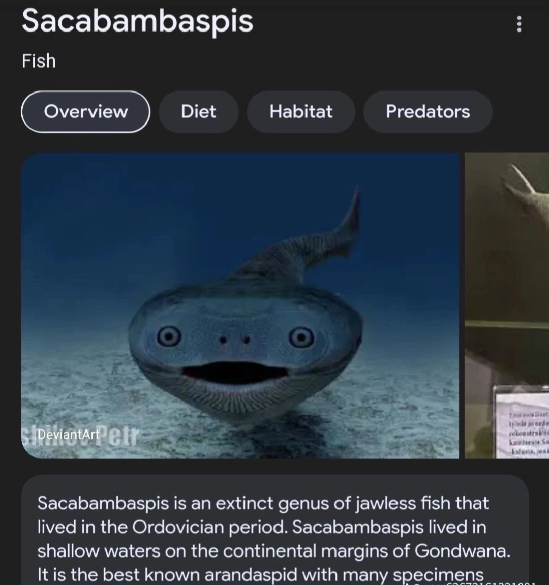 what dragon would fit this stupid extinct fish | Fandom