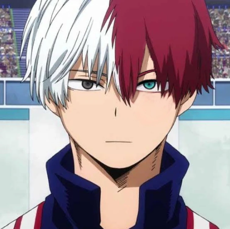 BNHA Without Scars | Fandom