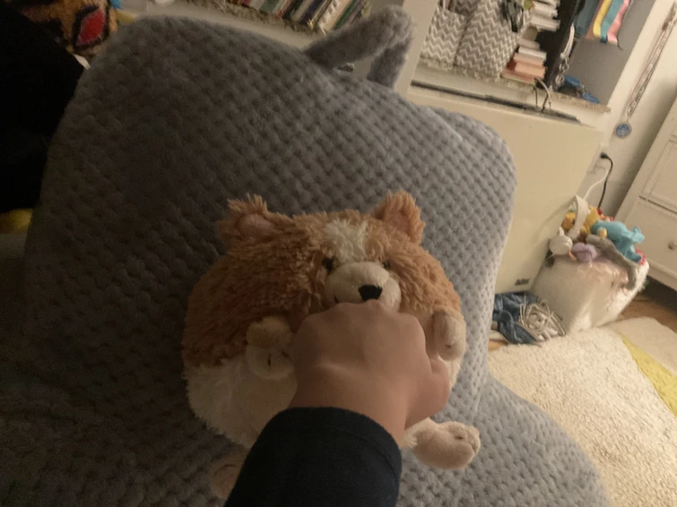 dog | Fandom