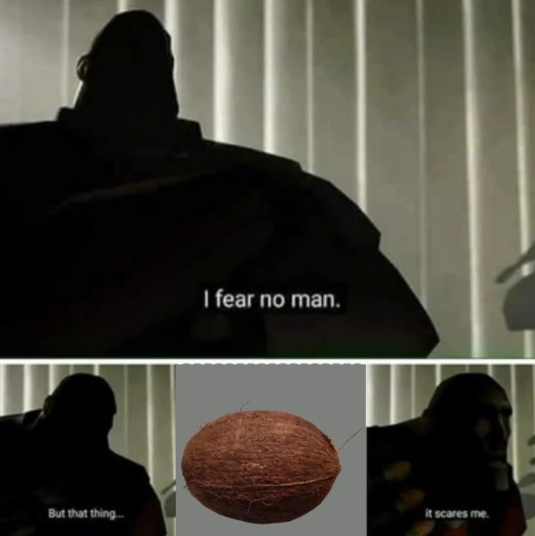 Only TF2 Players will understand the power of Coconut.jpg | Fandom