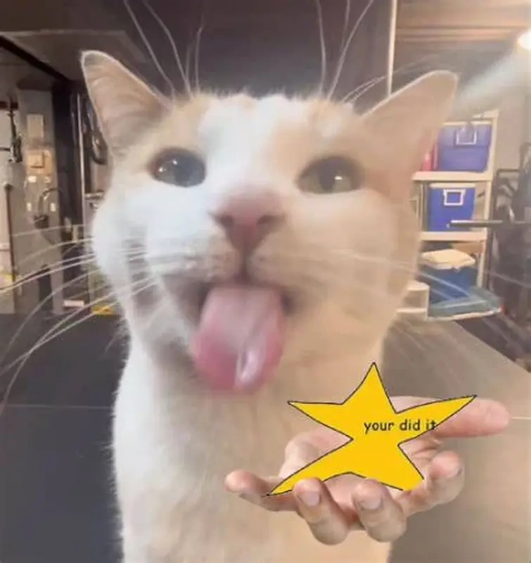 Goopidoopidoo | Fandom