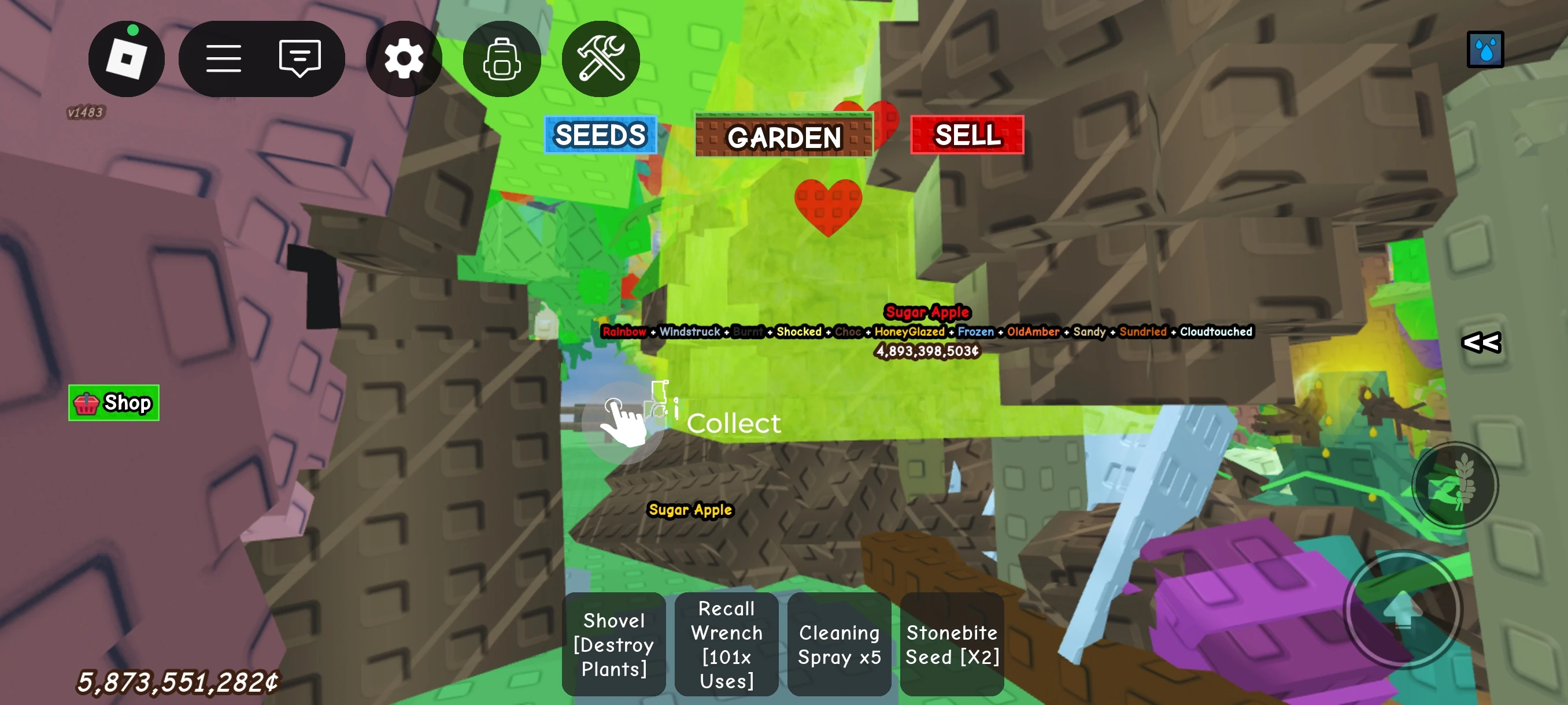 A rare mutation I never heard of, Oldamber | Fandom