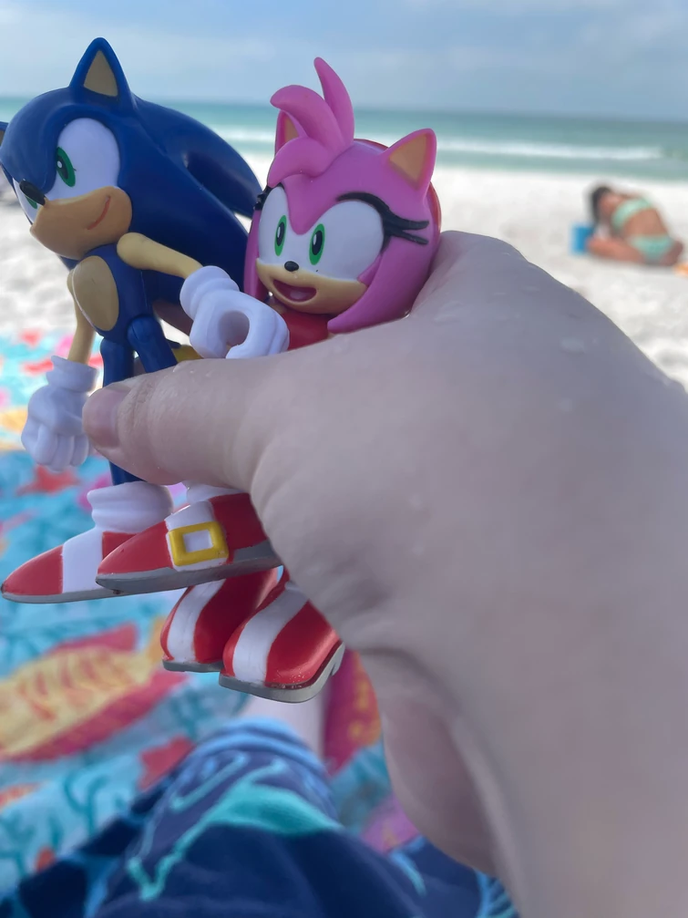 Sonic and Amy Rose at the beach | Fandom